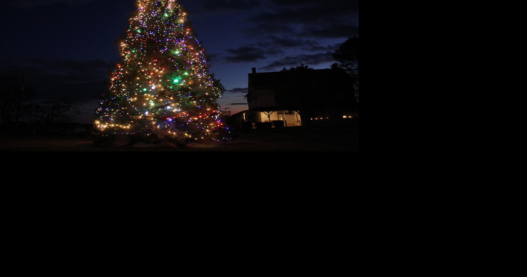 NFPA encourages prompt, safe removal of Christmas trees | Local News ...