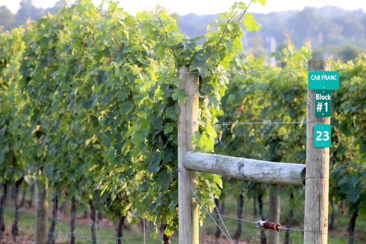 Chateau Bu-De gives behind-the-scenes look at wine bottling process ...