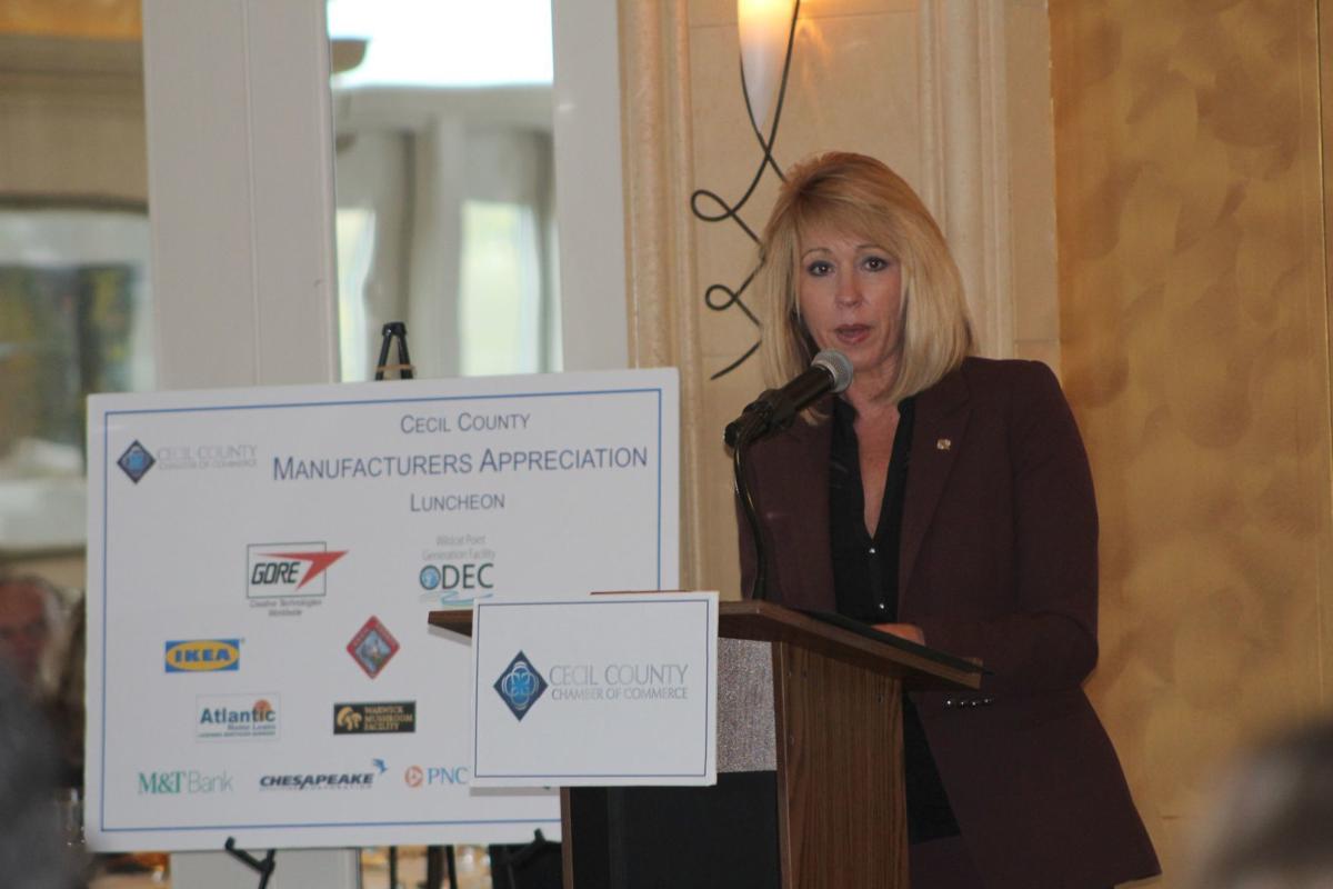 Maryland Commerce Secretary Kelly Schulz speaks at chamber luncheon ...