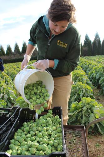 Biz Beat: La Quinta Inn completes renovation in Elkton | Business ...