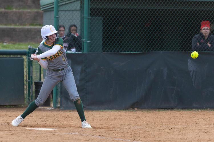 Five Cecil College softball players earn postseason honors | Sports ...