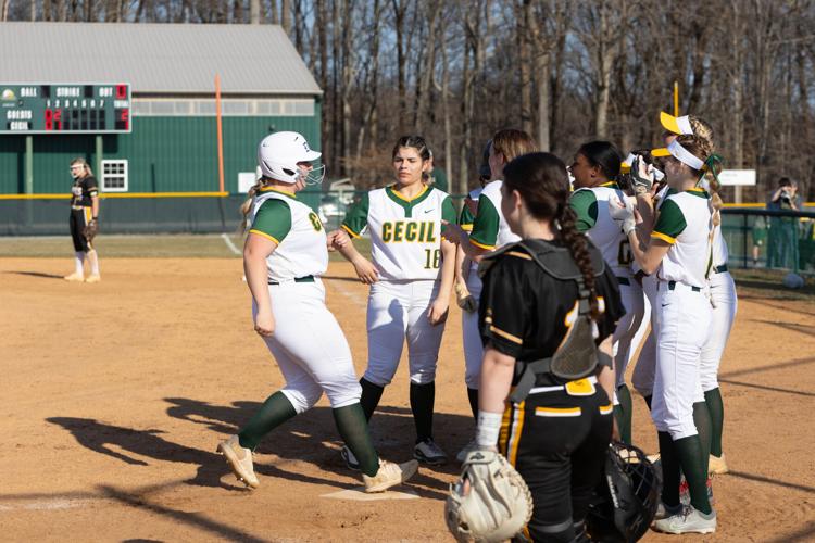 Cecil softball falls in home-opening series to Southern Maryland ...