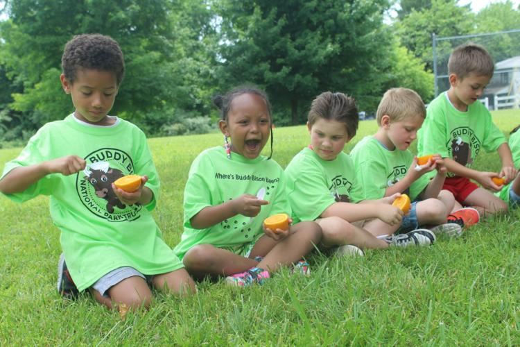 Cecil Manor students clean up park as part of grant | Local News ...