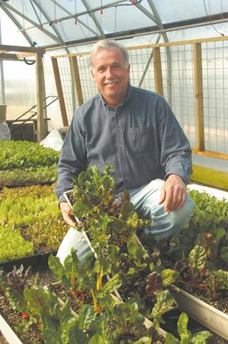 BUSINESS EXTRA: Vic Priapi knows plants | News | cecildaily.com