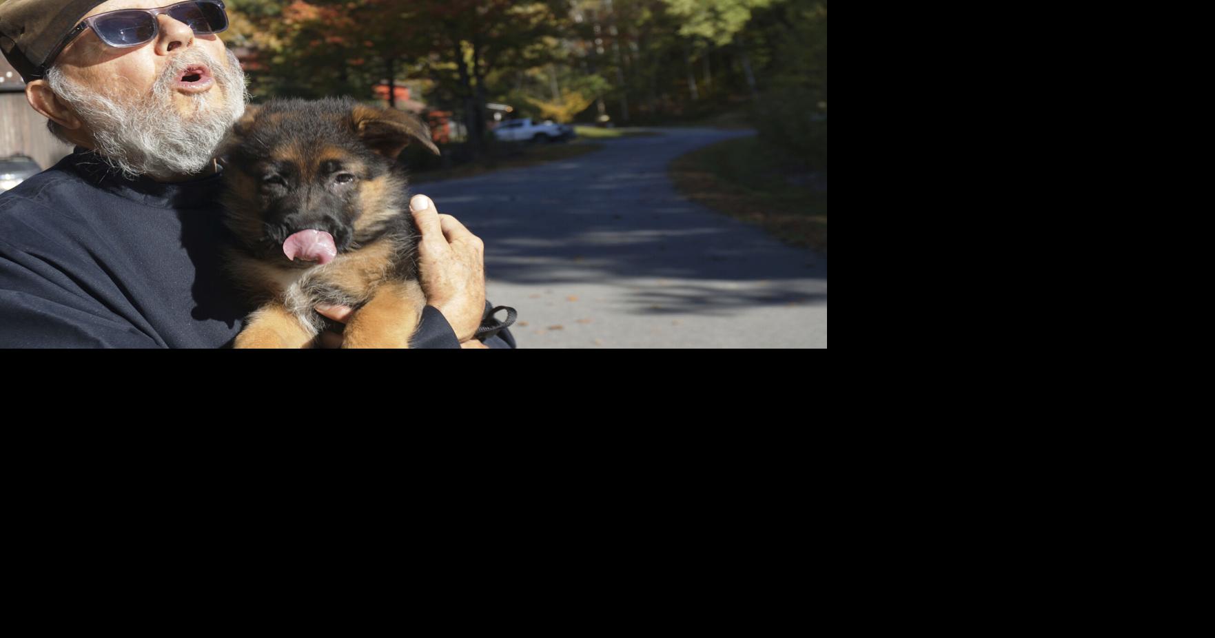 Learning about God from dogs, Orthodox monks breed and train canines at ...