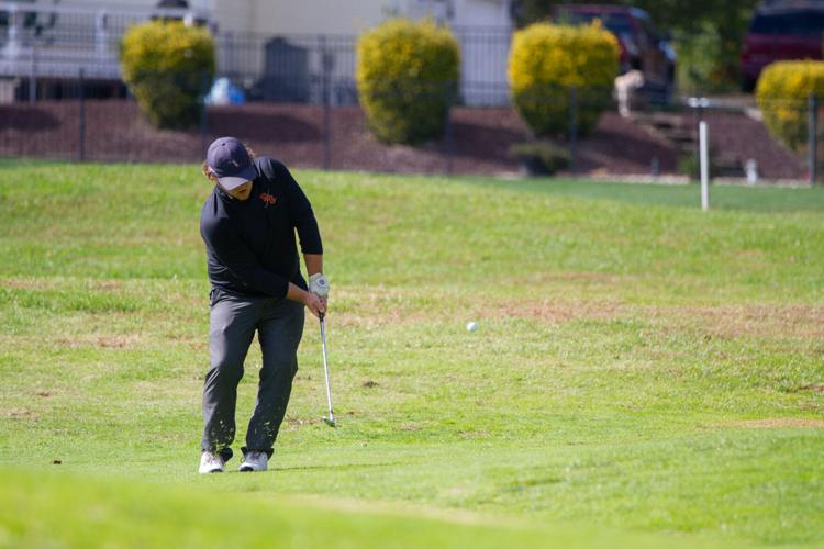 TEEING OFF: Wallace, Hogue's journey to state golf tourney stretches ...