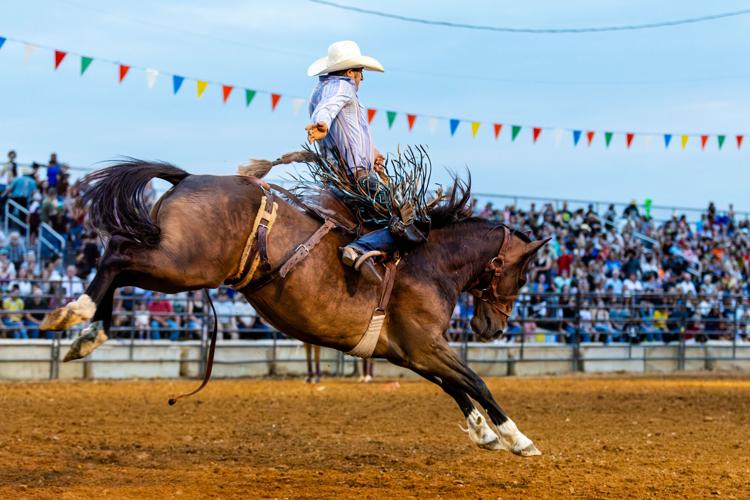 Cecil County Fair hosts Painted Pony Rodeo | News | cecildaily.com