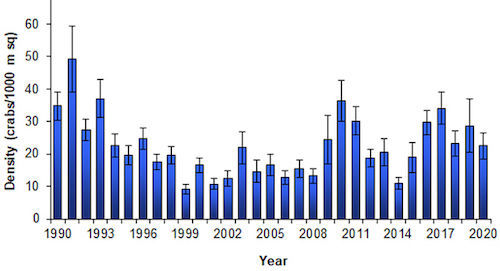 Survey: Bay blue crab numbers healthy | Local News | cecildaily.com