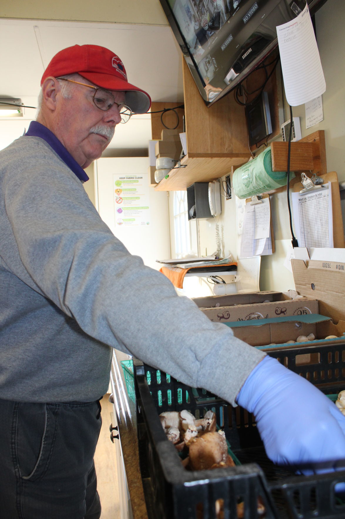 Yes Virginia, you can eat healthy during the holidays | Local News ...