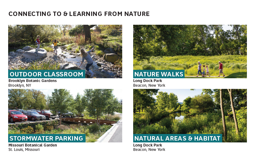 Work to start soon on Ice House Park living shoreline | News ...