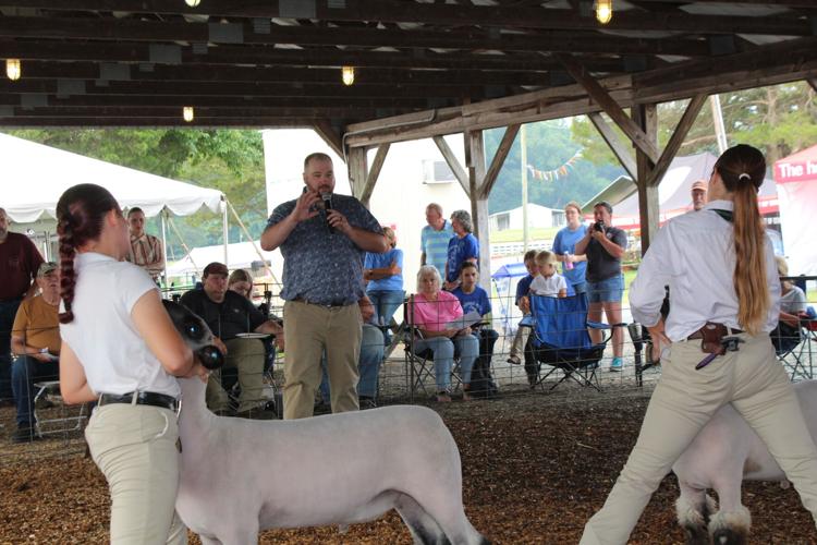 Sheep Fitting and Showing at the Cecil County Fair | Agriculture ...