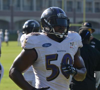 Harbaugh commends Ravens for 'phenomenal' practice in excessive heat ...