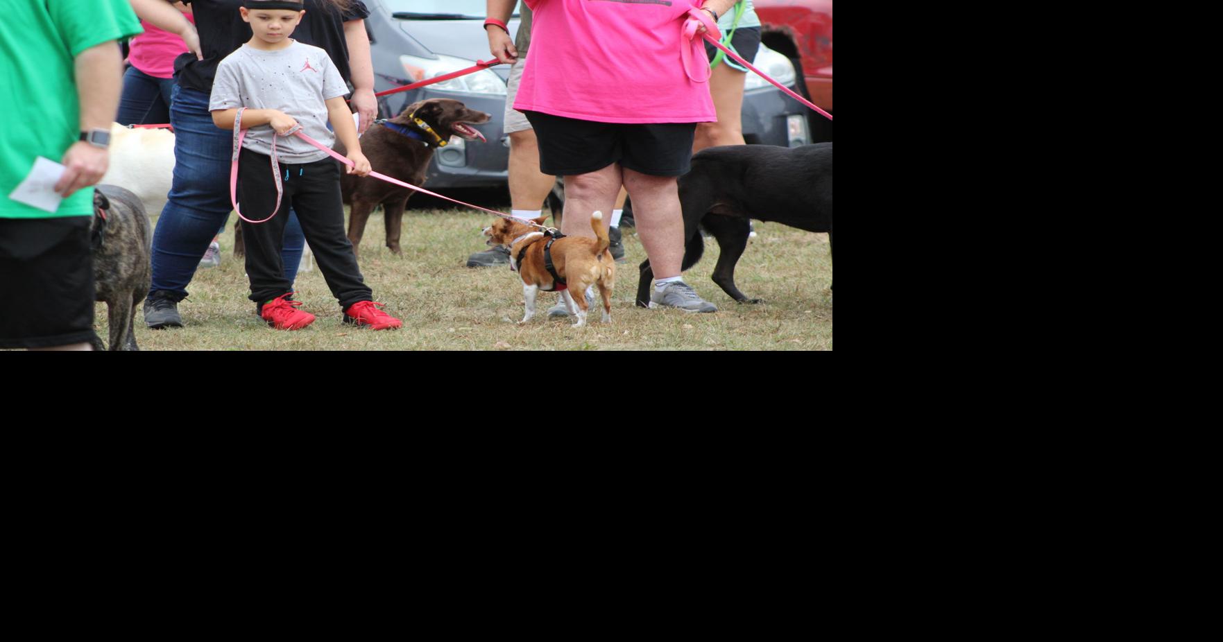 Paws in the Park draws a crowd for House of Hope | Local News ...