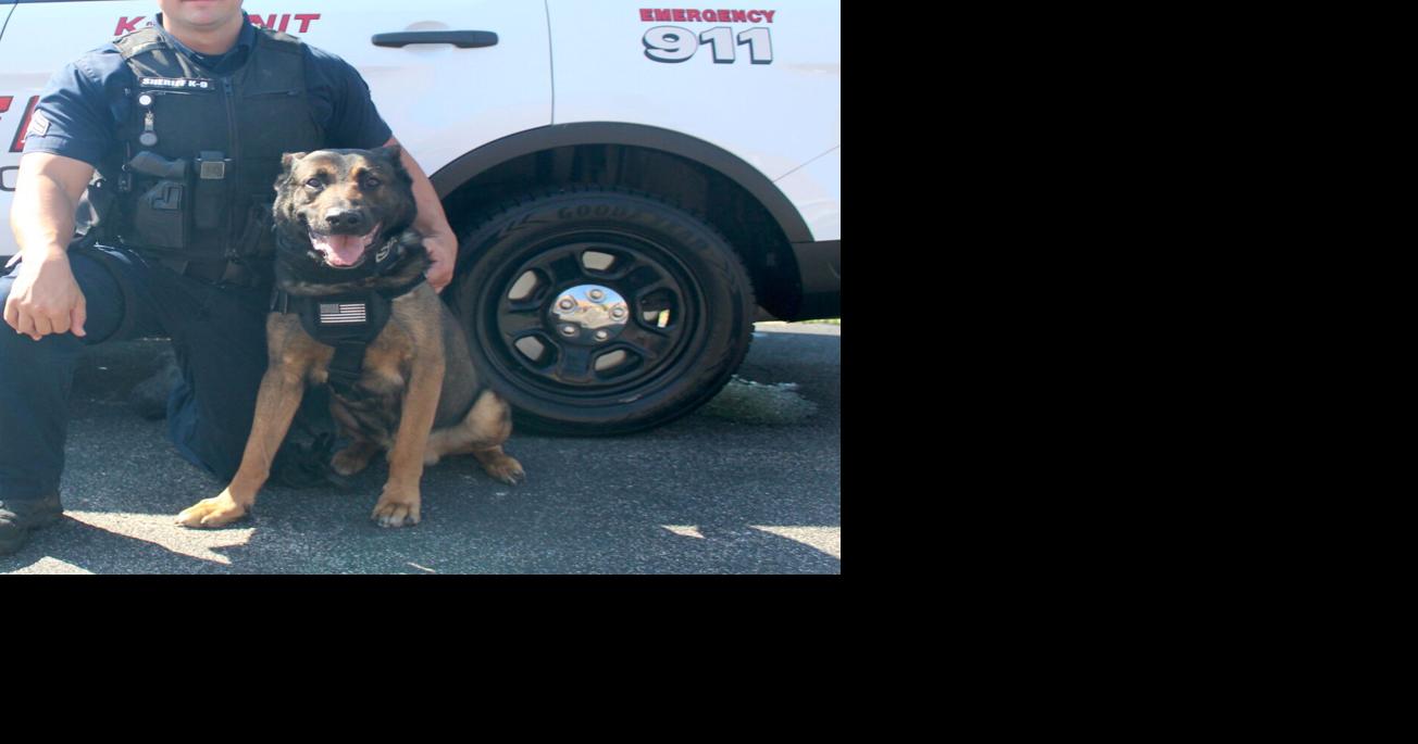 K9 Kilo retires from CCSO after eight years of service | News ...