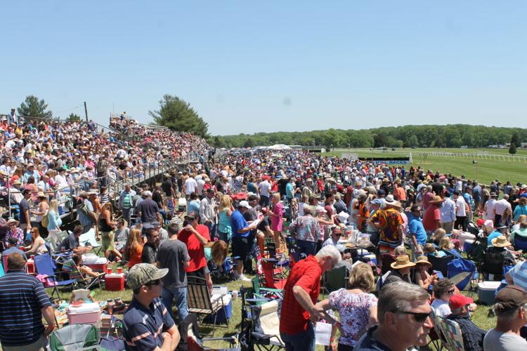 Fair Hill Races draw big crowd under new organizers | Local News ...