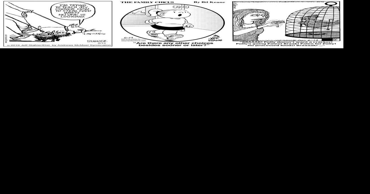 061419 comics | Comics | cecildaily.com