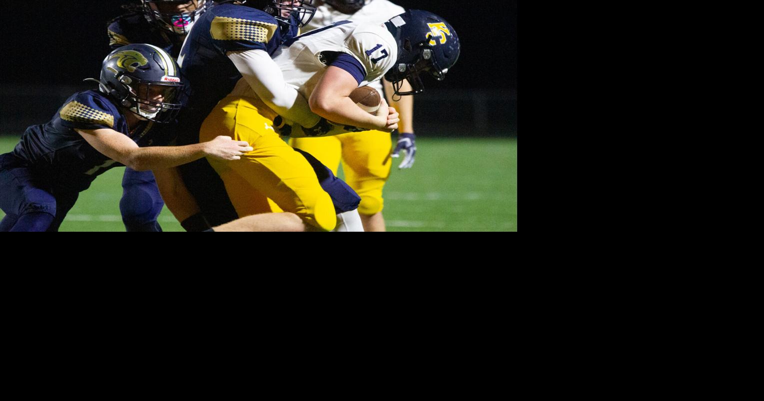 First half explosion advances Panthers in regional playoffs | Sports ...