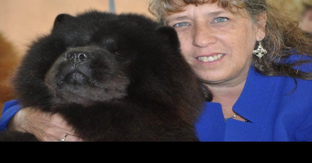 Fair Hill woman to show chow chow at Westminster | Misc. Features ...