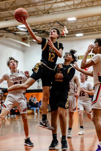 Rising Sun falls to Harford Tech in region quarters | Sports ...