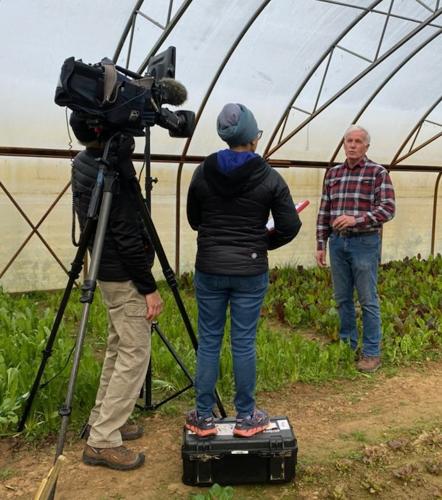 Biz Beat: Priapi Gardens for sale, Lt. Gov. visits viral Walmart ...