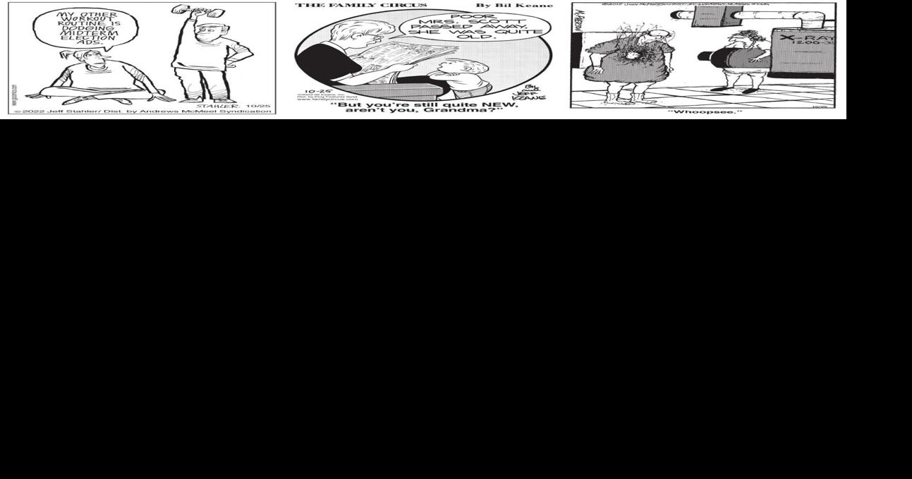 1025 comics | Comics | cecildaily.com