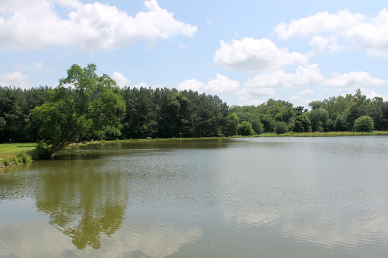 Elkton to fix water plant gates, explore pond interconnection | Local ...