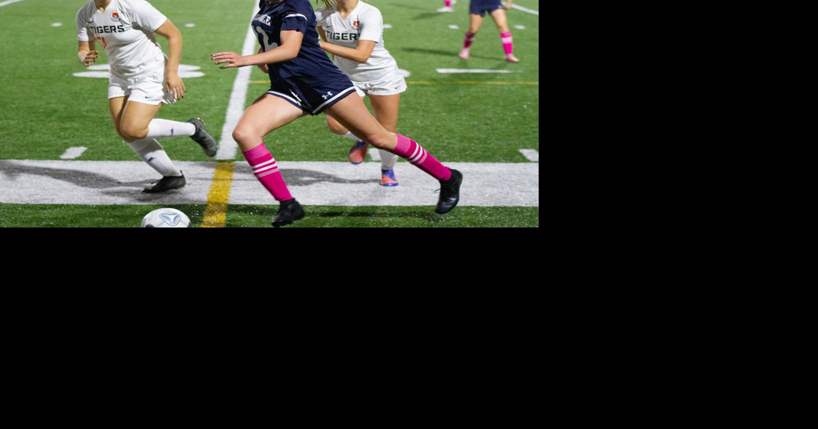 Panthers take down Tigers, on verge of perfect regular season | Sports ...