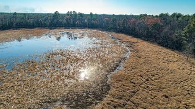 For the sake of the Chesapeake Bay, ‘non-navigable’ waters need ...