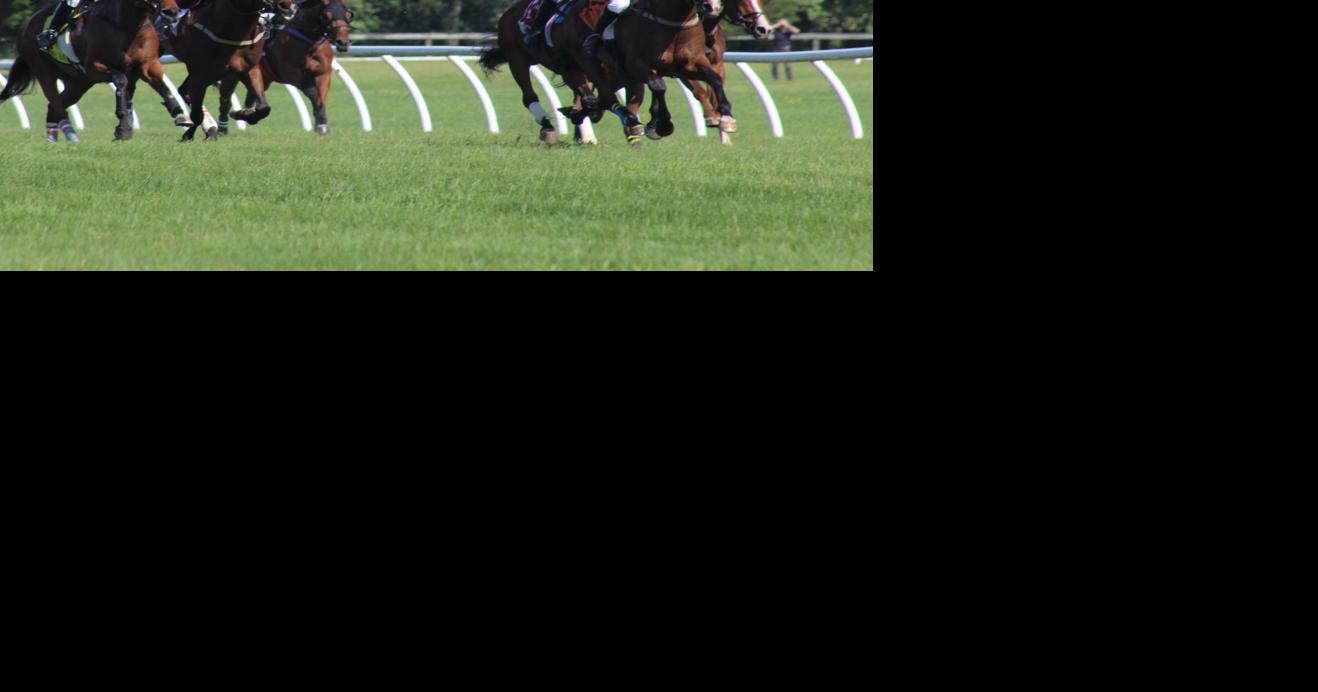 Back to the Races: Cecil County Breeders Fair secures two race dates at ...