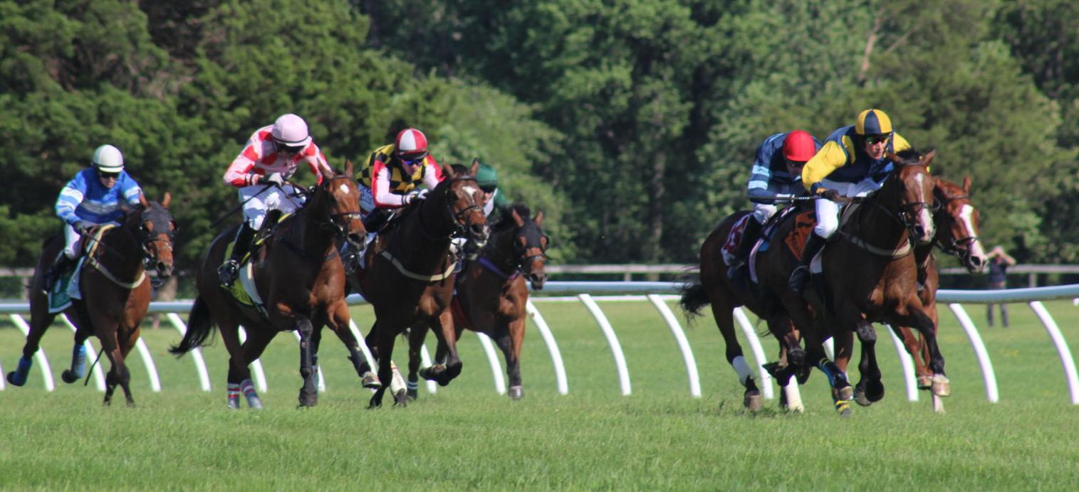 Back to the Races: Cecil County Breeders Fair secures two race dates at ...