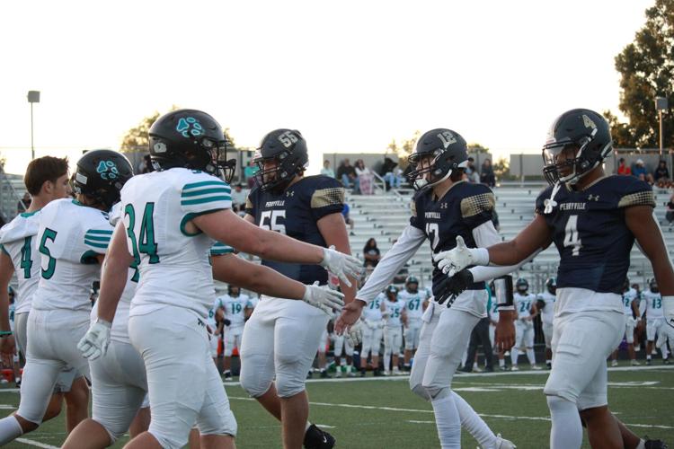 Panthers come up just short in low-scoring affair | Sports | cecildaily.com