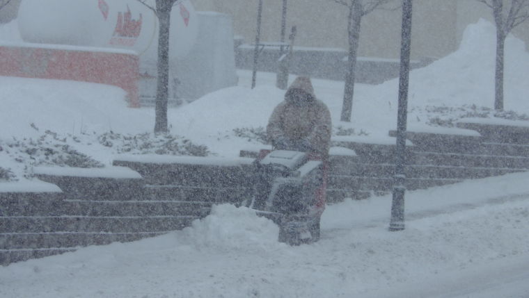 Heavy snow falling throughout Cecil | Local News | cecildaily.com