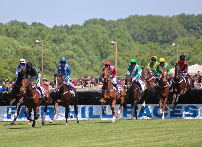 Fair Hill Races draw big crowd under new organizers | Local News ...