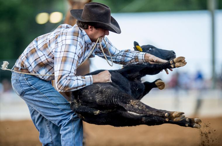 Cecil County Fair 2017 | Spotlight | cecildaily.com