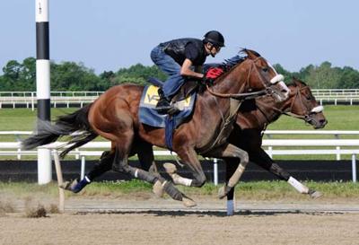 HORSE RACING: Union Rags perfect in final breeze | Professional ...
