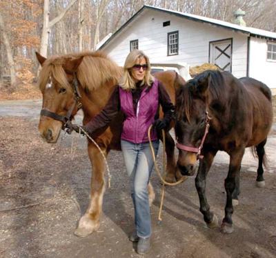 ON THE JOB: Laura Johnson of Fair Hill Stables | Business | cecildaily.com