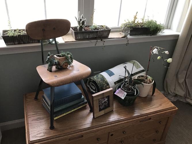 It's Garden Thyme! with Michele Michalski of North East | Spotlight ...