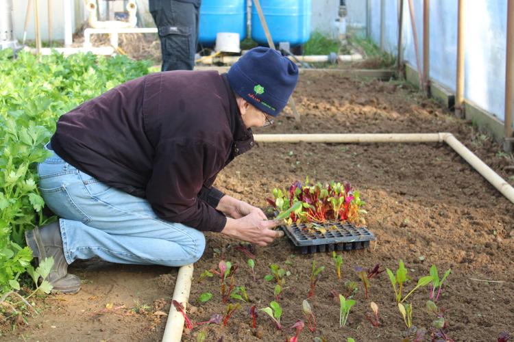 Yes Virginia, you can eat healthy during the holidays | Local News ...