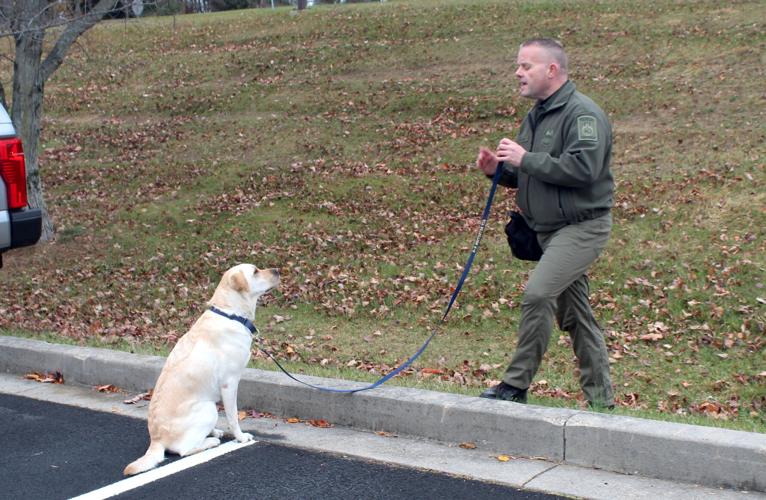 Sniffin’ Sleuths: Fire investigator partners with new arson detection ...