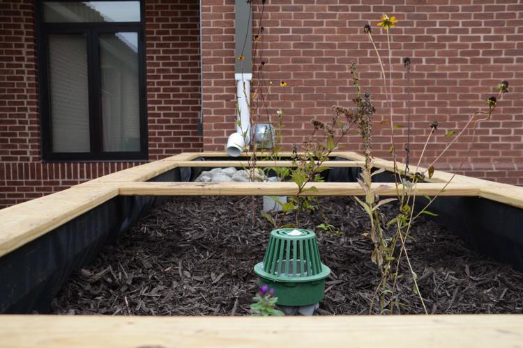 Calvert Elementary transforms courtyard into outdoor classroom | Local ...