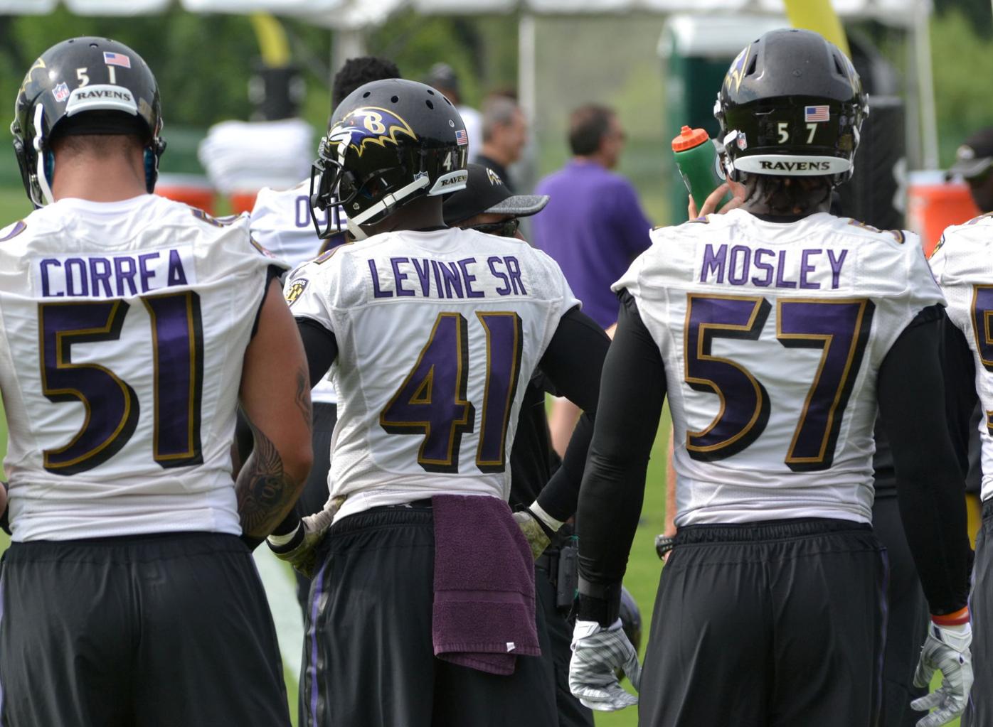 2016 Baltimore Ravens Training Camp | Sports Gallery | cecildaily.com
