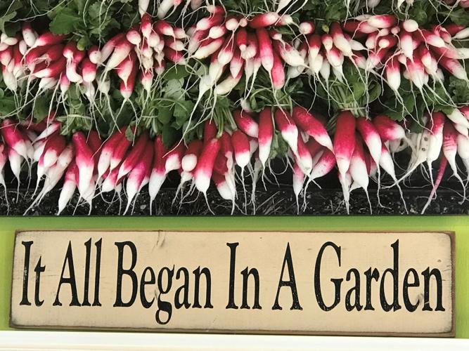 It's Garden Thyme! with Vic Priapi of Priapi Gardens in Cecilton ...