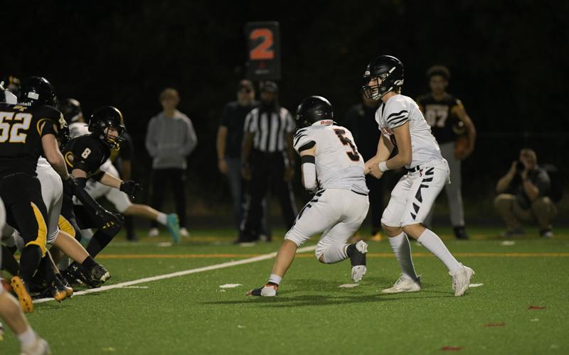 Rising Sun falls to Harford Tech | Sports | cecildaily.com