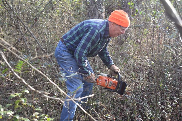Part 1 in a series: Maryland continues its fight against invasive ...