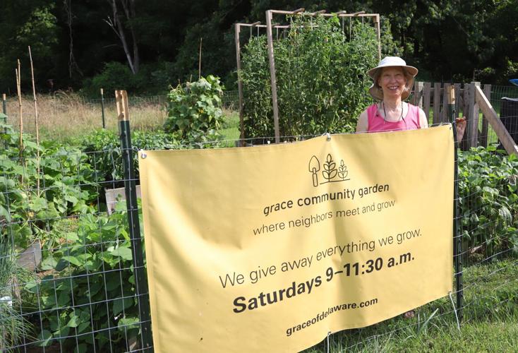 Sharing the bounty: Newark church's garden provides free vegetables to ...