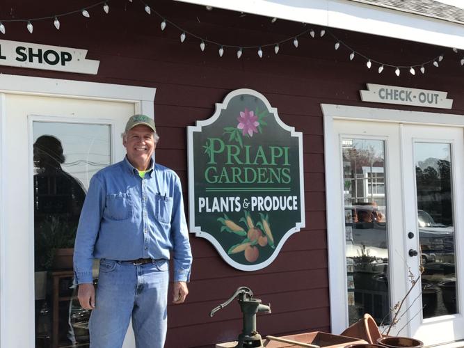 It's Garden Thyme! with Vic Priapi of Priapi Gardens in Cecilton ...