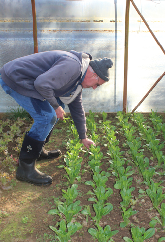 AgriCulture: State grant helps Kilby Farm get free energy | Local News ...