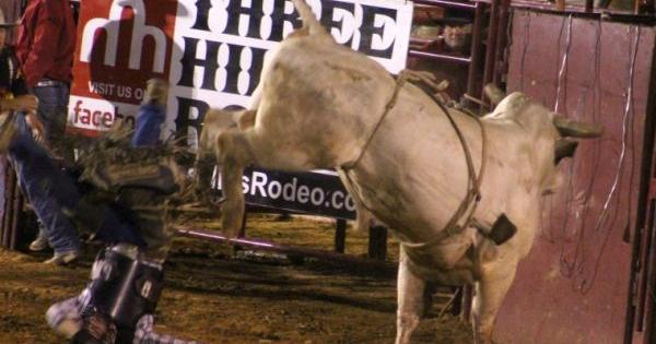 Photo gallery: Three Hills Rodeo delights at Cecil County Fair | Local ...