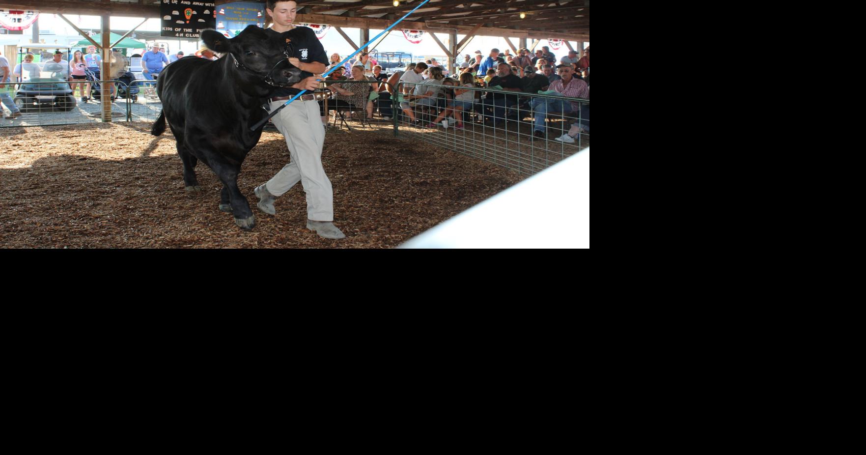 AgriCulture Briefs: MARBIDCO grants, Stafford gift boxes, 4-H steer ...