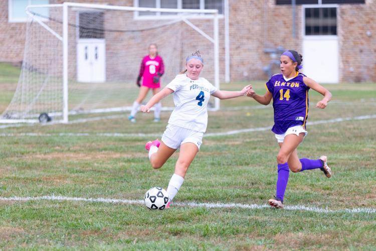 Panthers rally in second half to down Golden Elks | Sports | cecildaily.com